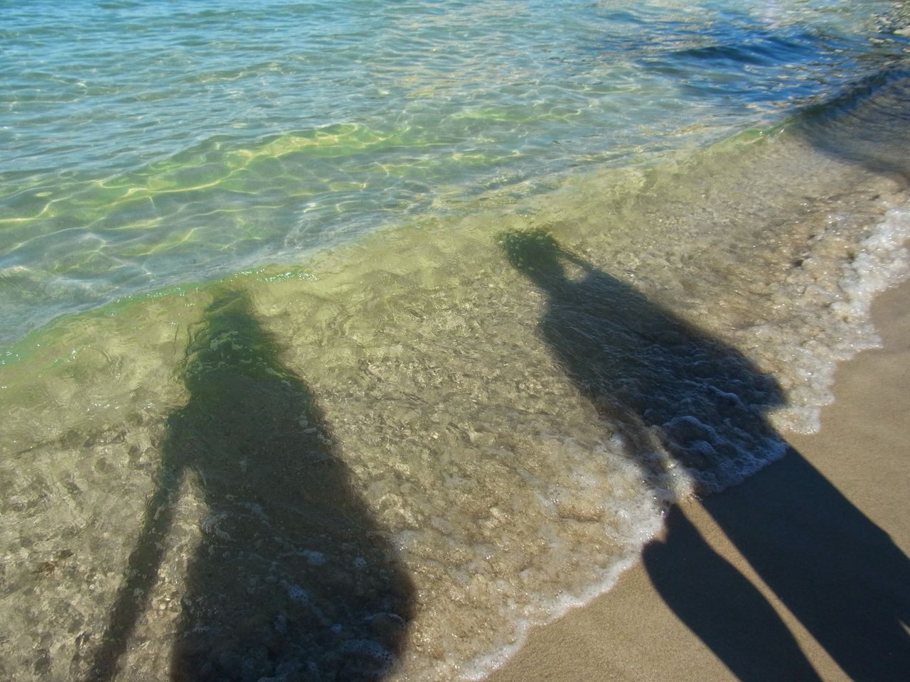 1323103f | Foglots（フォグロッツ）